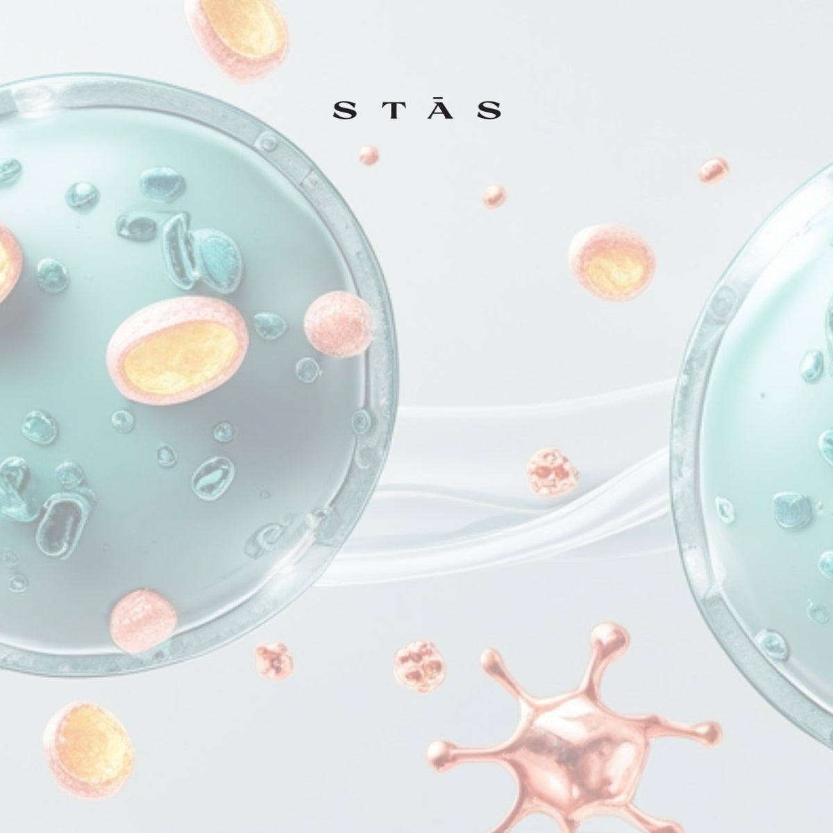 Understanding MPSCA: The Science Behind STĀS Skincare – STĀS Skincare